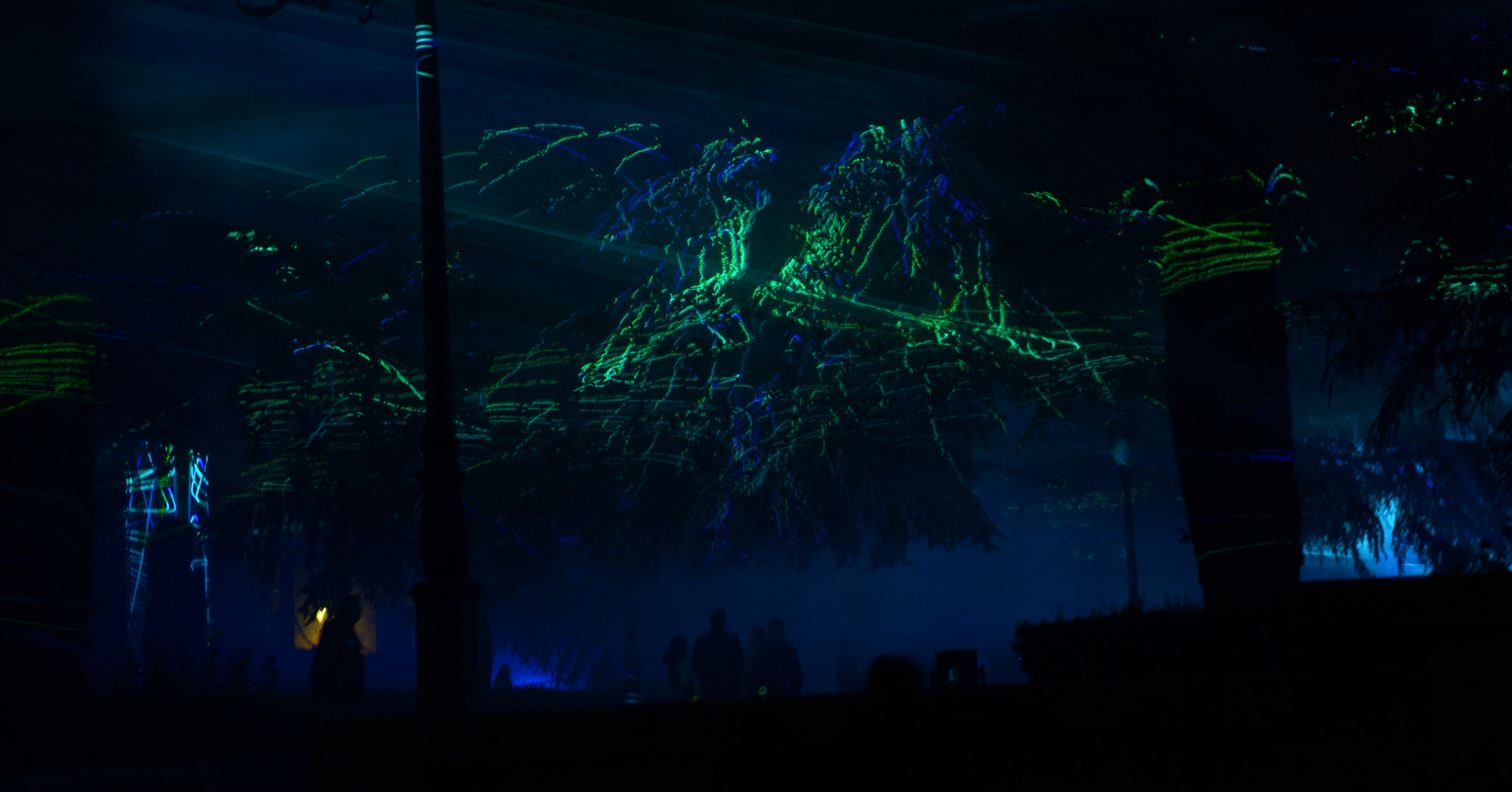 EVI LICHTUNGEN: Showzeiten am Domhof